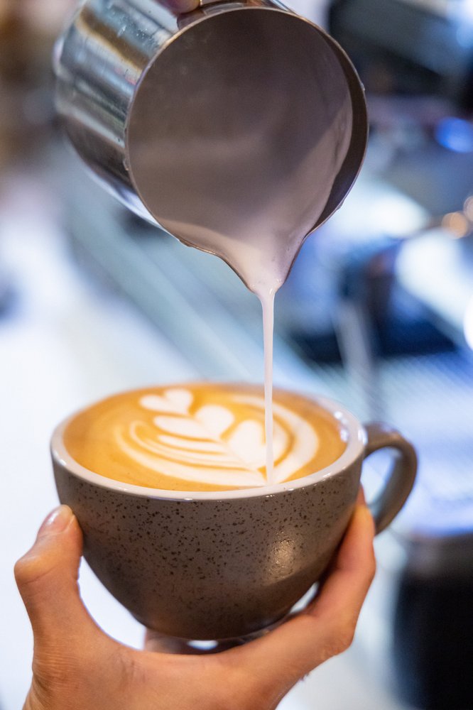 JAVA NATION - KENSINGTON - Updated March 2025 - 295 Photos & 287 ...