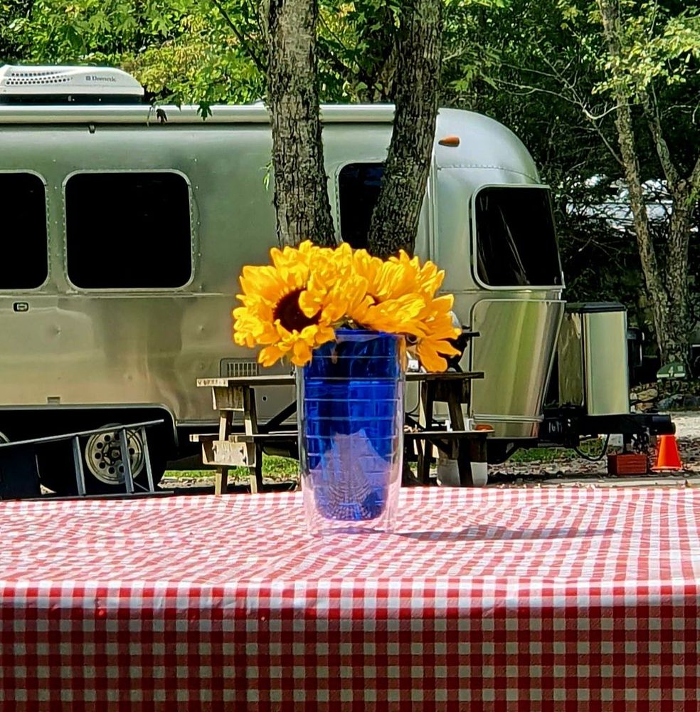 BLUE RIDGE FALLS RV RESORT - Updated July 2024 - 1476 Blue Ridge Rd ...