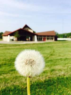 ELVER PARK - Updated December 2025 - 37 Photos & 13 Reviews - 1250 ...