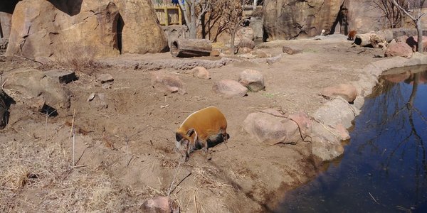 SEDGWICK COUNTY ZOO - 79 Photos & 67 Reviews - Zoos - 5555 W Zoo Blvd ...