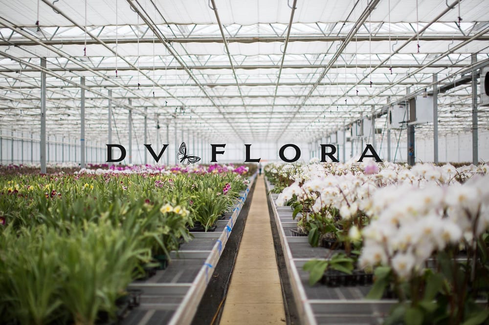 DVFLORA - Updated December 2025 - 520 Mantua Blvd, Sewell, New Jersey ...