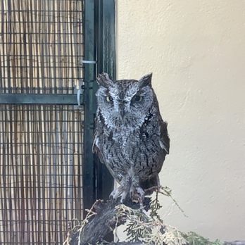 ALAMEDA PARK ZOO - Updated August 2025 - 153 Photos & 52 Reviews - 1021 ...