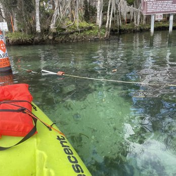 CRYSTAL RIVER KAYAK COMPANY - 214 Photos & 188 Reviews - 1422 SE Us Hwy ...