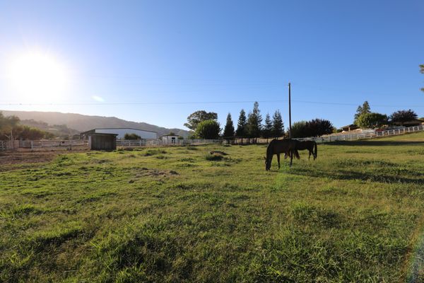 EMERALD HILLS HORSE RANCH - Updated December 2025 - 30486 Equus Ln ...