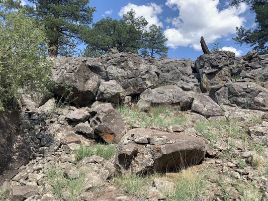 SHOW LOW BLUFF HIKING TRAIL - 42 Photos - 769 S White Mountain Rd, Show ...