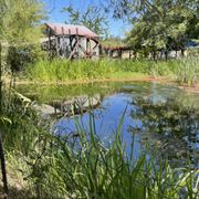 FLOWER FARM CAFE - 247 Photos & 242 Reviews - 9280 Horseshoe Bar Rd ...