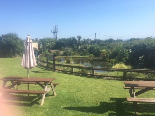 TY MAWR ARMS - Updated June 2025 - 11 Reviews - Graig Rd, Cardiff ...