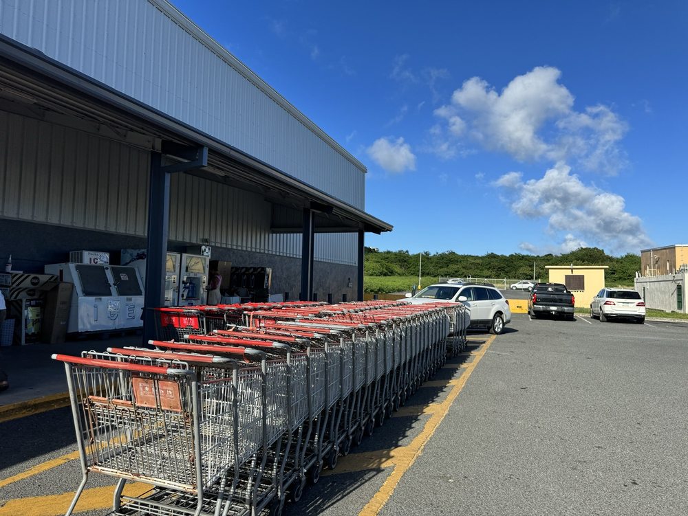 COST U LESS - Updated December 2025 - 11 Reviews - 4300 Sion Farm ...