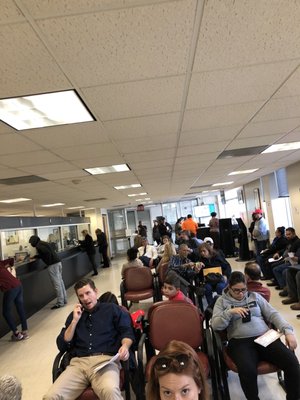 HARRIS COUNTY TAX OFFICE - Updated January 2026 - 23 Photos & 47 ...