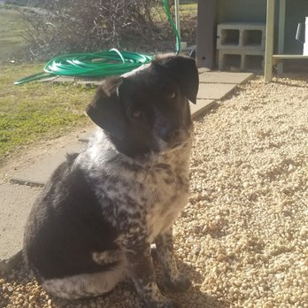 NATIVE VINES WINERY - Updated March 2025 - 44 Photos & 21 Reviews ...