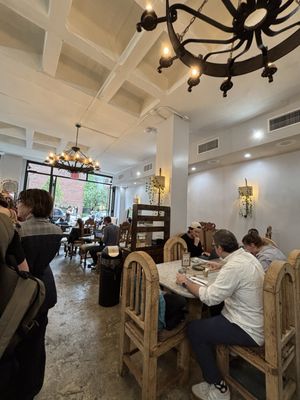 HUNGRY LLAMA - Updated October 2025 - 146 Photos & 71 Reviews - 679 ...