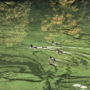 LAKE FENWICK PARK - 81 Photos & 25 Reviews - Parks - 25828 Lake Fenwick ...