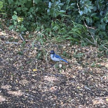 SHANNON PARK AND COMMUNITY CENTER - Updated January 2026 - 120 Photos ...