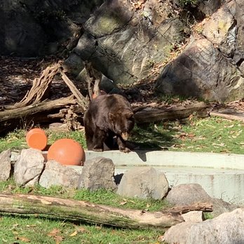 TRAILSIDE MUSEUMS & ZOO - Updated November 2025 - 188 Photos & 34 ...