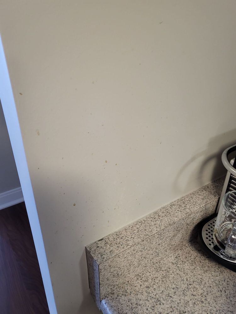 SQUEAKY CLEANING - Updated October 2025 - 20 Reviews - 300 Front Street ...