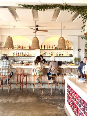 FIG TREE VENICE - Updated October 2025 - 1199 Photos & 748 Reviews ...