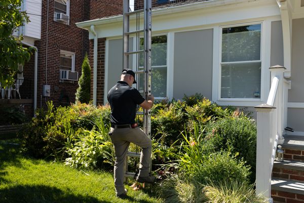 CRITTER CONTROL - Updated December 2025 - 38 Photos - Atlanta, Georgia ...