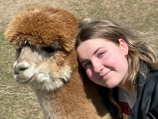 RUSTY STARS ALPACA - Updated September 2024 - 21 Photos - 2054 Rustic ...