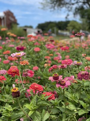 THE WORKSHOP AT FINLEY FARMS - Updated July 2025 - 111 Photos & 35 ...