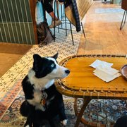 HELLO DARLING - 15 Photos - 1610 Little Raven St, Denver, CO - Yelp