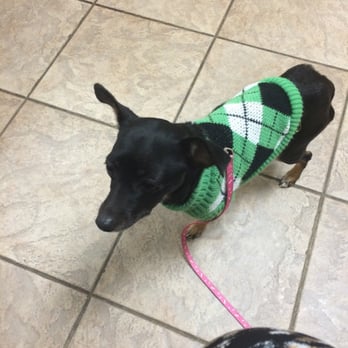 GREATER BIRMINGHAM HUMANE SOCIETY - Updated October 2025 - 50 Photos ...