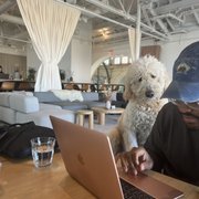 SHACK15 - 21 Photos & 14 Reviews - 1 Ferry Building, San Francisco ...