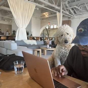 SHACK15 - Updated January 2025 - 61 Photos & 24 Reviews - 1 Ferry ...