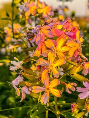 CONIMICUT POINT PARK - Updated March 2026 - 81 Photos & 23 Reviews ...