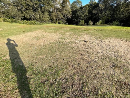 LOST PINES GOLF CLUB - 26 Photos & 26 Reviews - 575 Hyatt Lost Pines Rd ...