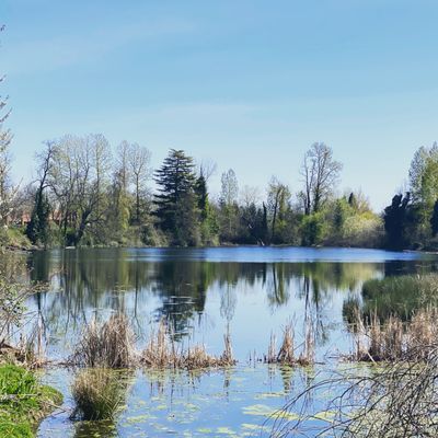 CRARY SHOES - Updated January 2026 - 17 Reviews - 12035 NE Glenn Widing ...