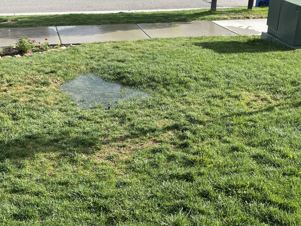 SPRINKLER MASTER - Updated October 2025 - 24 Photos & 17 Reviews - West ...