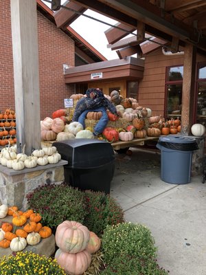 ATKINS FARMS - 166 Photos & 213 Reviews - 1150 West St, Amherst ...