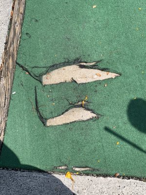 ALLGOLF AT CB SMITH - Updated May 2026 - 102 Photos & 92 Reviews - 950 ...