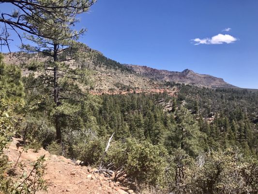 WASHINGTON PARK - 20 Photos - Upper East Verde Rd, Payson, Arizona ...