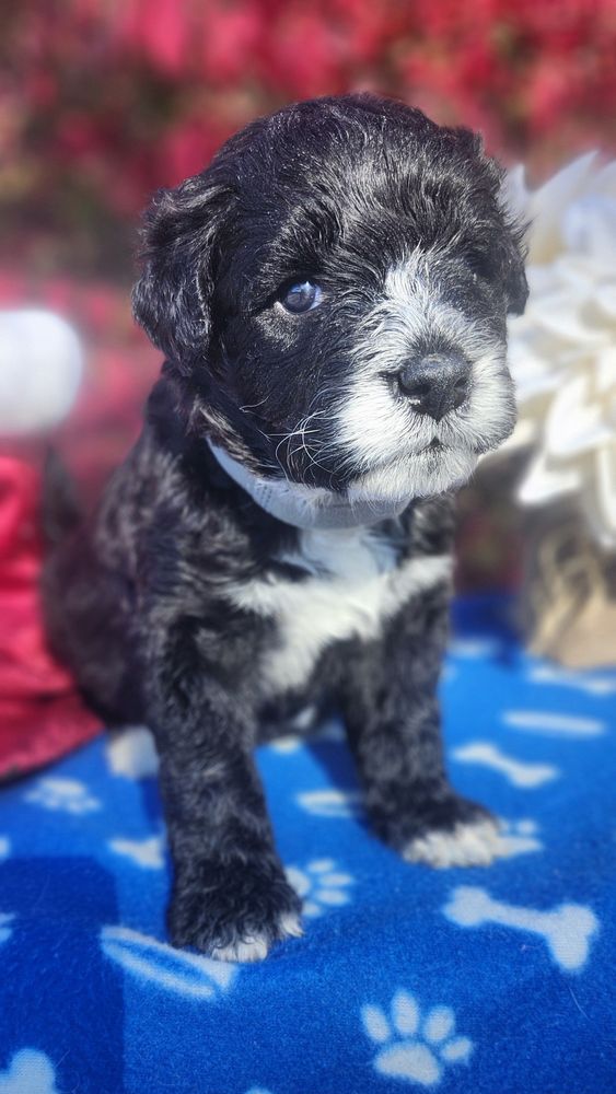 MID OHIO DIGESTIVE DISEASE ASSOCIATES - Updated January 2026 - 18 ...