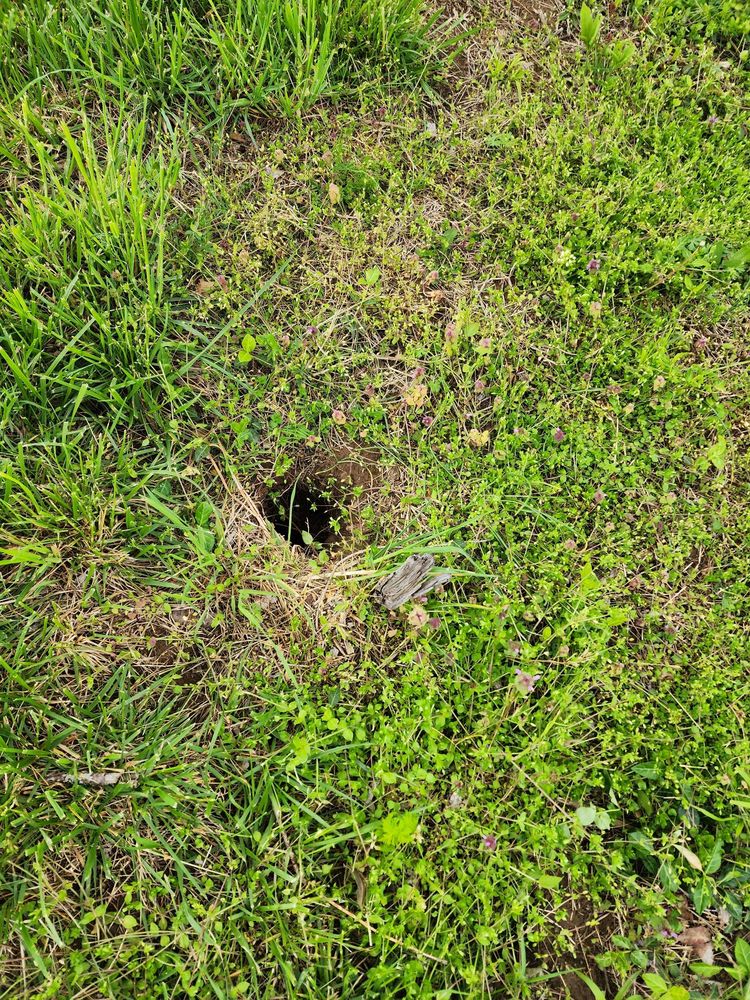 THREE RIVERS TRAPPING AND TANNING - Updated May 2025 - Request ...