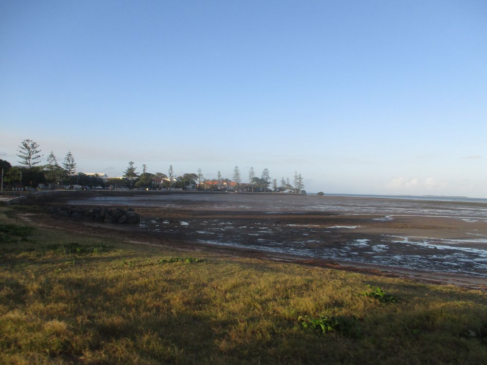 BAYSIDE PARK - 10 Photos - 450 Upper Esplanade, Manly Queensland ...