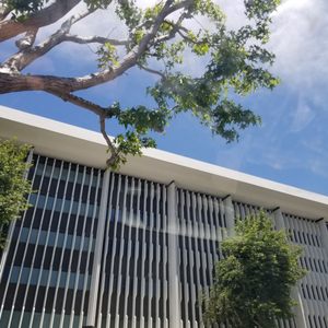 TIMOTHY LESSER, MD - Updated December 2025 - 15 Reviews - 20911 Earl St ...