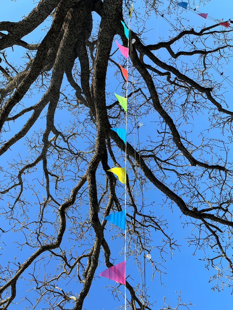 OAK TREES BEER GARDEN - Updated September 2025 - 25 Photos - 598 Spring ...