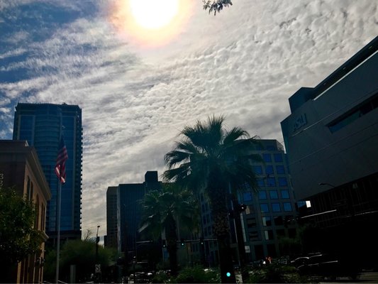 ARIZONA STATE UNIVERSITY DOWNTOWN PHOENIX CAMPUS - Updated October 2025 ...