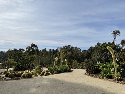 KATE O SESSIONS CACTUS GARDEN - Updated August 2024 - 55 Photos & 15 Reviews - Balboa Park, San ...