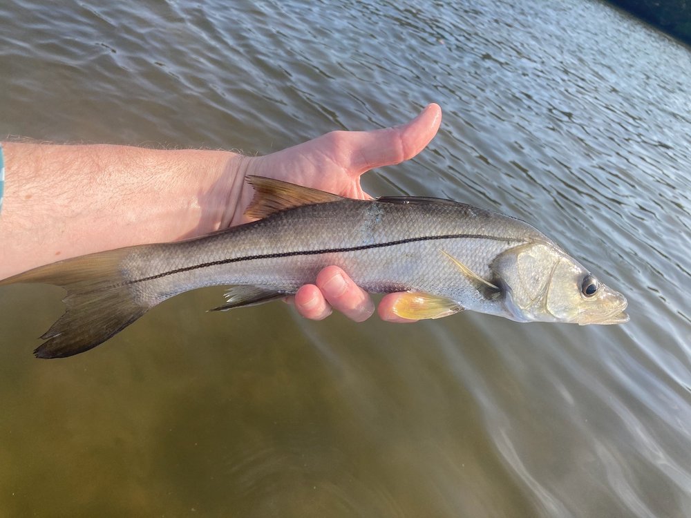 FISH LIKE US - Updated July 2025 - Palmetto, Florida - Fishing - Phone ...