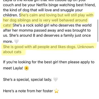 MERCY FULL PROJECT - Updated July 2025 - 31 Photos & 23 Reviews - 901 N ...