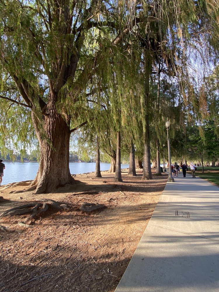 FAIRMONT REGIONAL PARK - Updated November 2025 - 42 Photos - 2241 ...