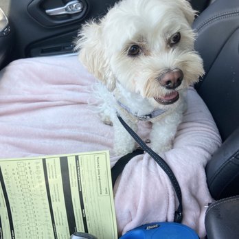 K-9 SMILES - Updated November 2025 - 63 Photos & 77 Reviews - 80 Garden ...