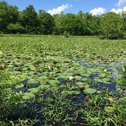 SHAW NATURE RESERVE - 101 Photos & 18 Reviews - 307 Pinetum Loop Rd ...