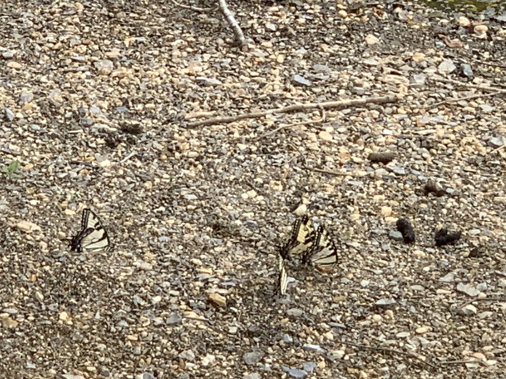 GILBERT RUN PARK, 13140 CHARLES ST, CHARLOTTE HALL, MD 20622 - 13140 ...