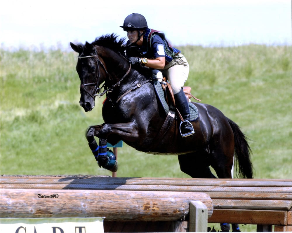 TALLY HO FARMS - Lexington, Kentucky - Horseback Riding - Phone Number ...