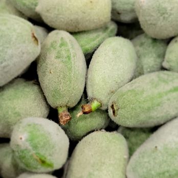 VINE RIPE MARKET - Updated August 2024 - 371 Photos & 547 Reviews ...