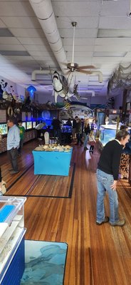 AQUARIUM & SHARK LAB BY TEAM ECCO - Updated August 2025 - 66 Photos ...